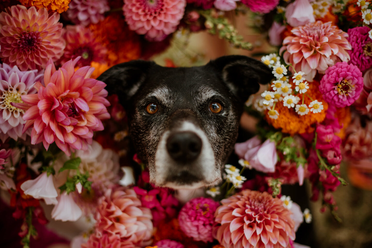 Chelsea Pope Photography - Vancouver Island Photographer